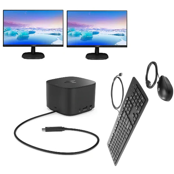 Dual Screen 2X 24" LCD HP USB C DOCK KEYBOARD AND MOUSE Cables and Pow